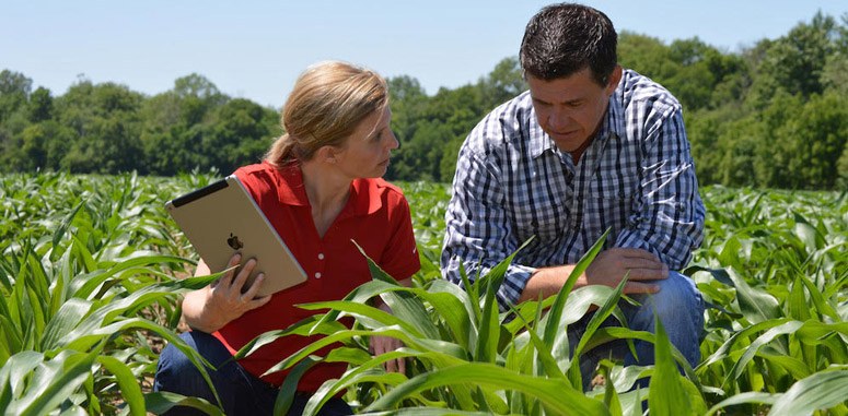 Ten High-Paying Career Options in Agriculture | iFastJob