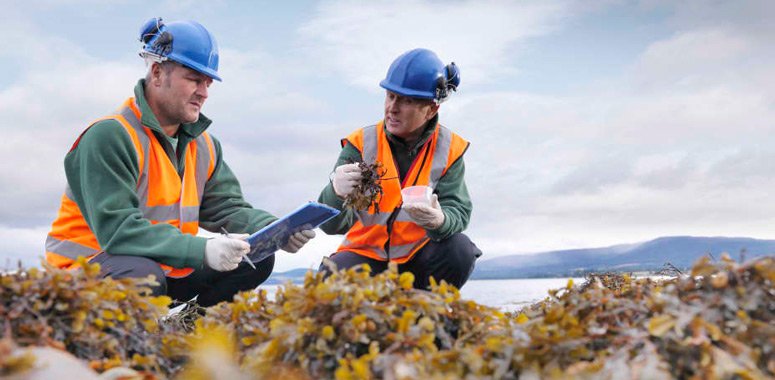 10 High Paying Jobs To Work Outside | iFastJob