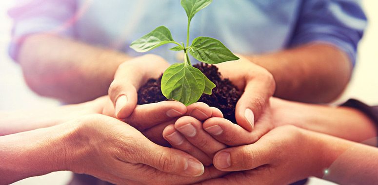 Top Ten Environmental Jobs that Pay Well | iFastJob